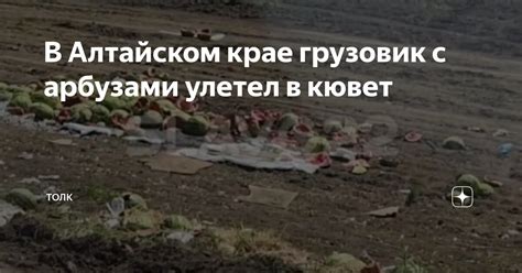 В Алтайском крае грузовик с арбузами улетел в кювет ТОЛК Дзен