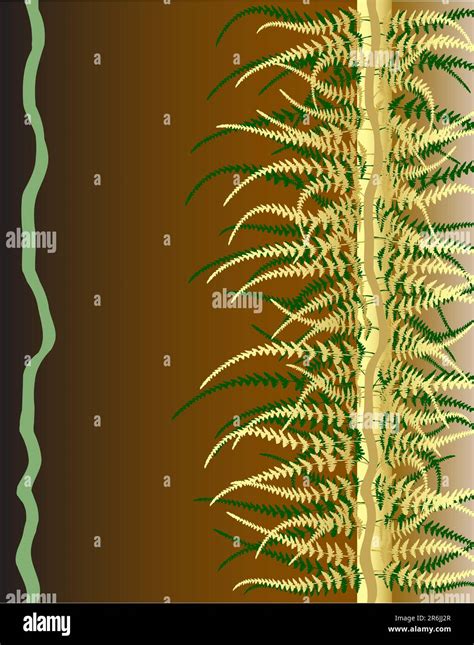 Vector Design Of A Fern Covered Vine Stock Vector Image And Art Alamy