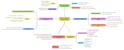 Transcriptome Sequencing ️ข้อสรุป Coggle Diagram