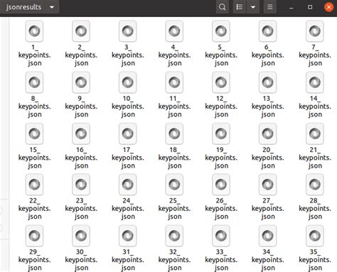 Write Json In Python Api For Video · Issue 1330 · Cmu Perceptual