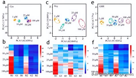 Nanozyme Colorimetric Array Sensor For Biothiol Detection And Disease Diagnosis Imedia