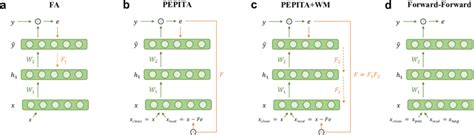Overview Of Different Error Transportations And Weight Mirroring