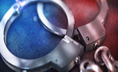 7 Arrested In Bengaluru For Smuggling Endangered Animals