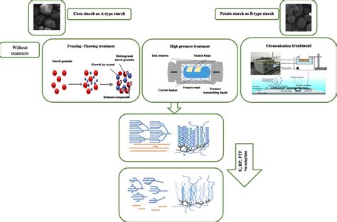 Flow Chart Of The Implemented Procedure To Examine The Freeze Thawing