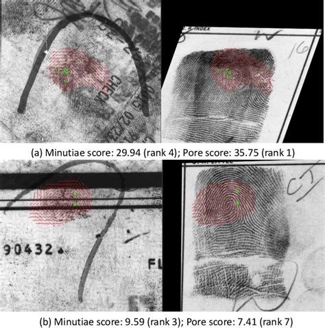 End To End Pore Extraction And Matching In Latent Fingerprints Going Beyond Minutiae