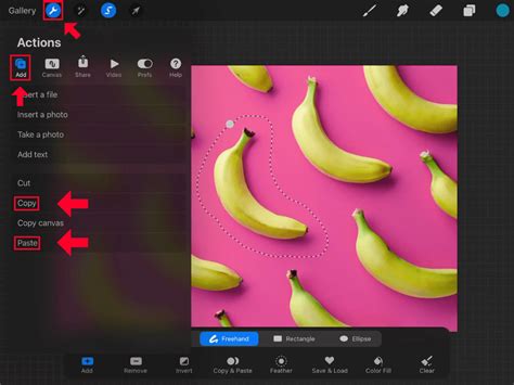 how to duplicate in procreate layers objects and selections logos