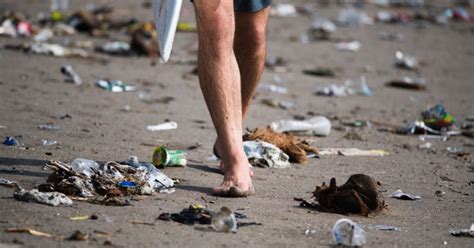 Practical Guide For Beach Cleanups