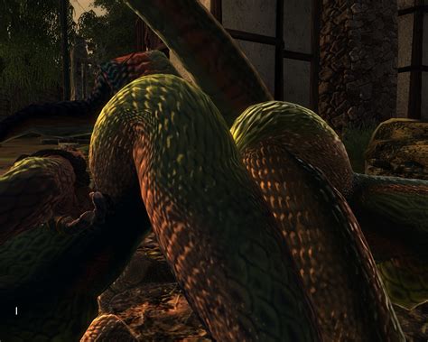 Post 201718 Argonian Dar Ma Oblivion Theelderscrolls
