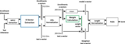 A Simple Schematic Of The Proposed Weighting Method In The X Vector Download Scientific Diagram