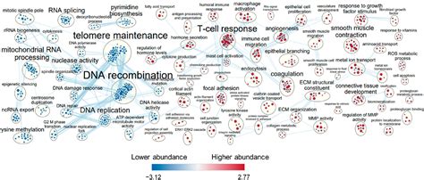 Figure 3 From Understanding Cell Model Characteristics—rna Expression