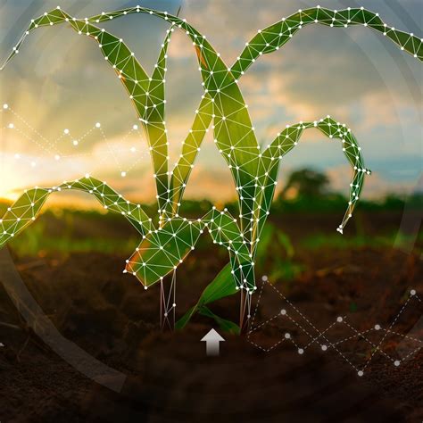 Nutrient Density Alliance