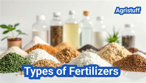 Types Of Fertilizers Everything You Need To Know 2026
