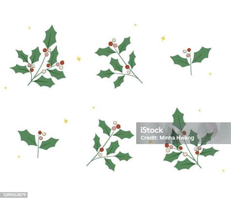 벡터 크리스마스 홀리 트리 잎과 레드 베리 과일 일러스트 그래픽 리소스 0명에 대한 스톡 벡터 아트 및 기타 이미지 0명 가을 개체 그룹 Istock