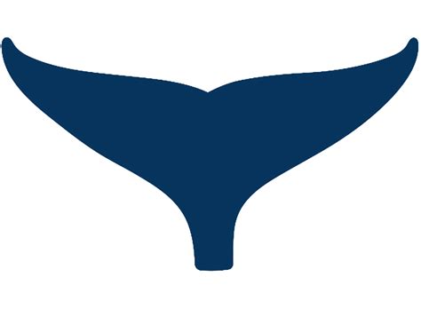 Underwater Footage Oceans Footage