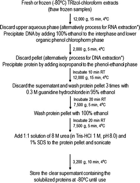 Modified Ripa Lysis Buffer Recipe Bryont Blog