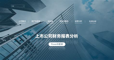 Power Bi财务报表分析：手把手教你制作一个动态财务分析报告 知乎