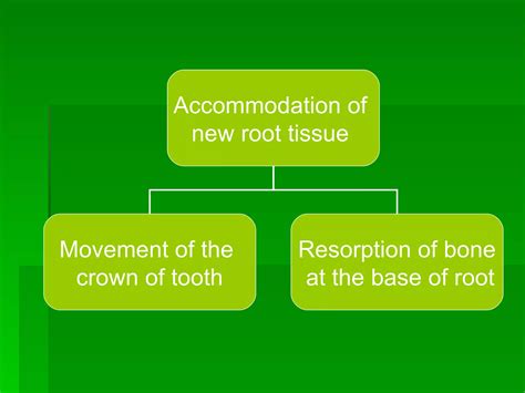 Eruption Theoryroot Elongation Theory Ppt