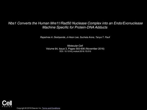 Nbs1 Converts The Human Mre11 Rad50 Nuclease Complex Into An Endo