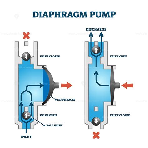 Diagram Of Hyudro Diaphragm Pump Schematic Diagram Of A Diap