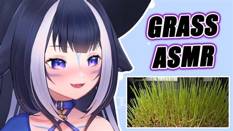 Lily Doing Asmr With Grass Youtube
