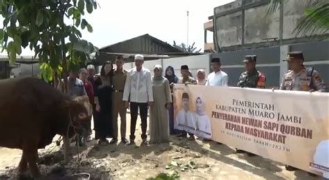 Pj Bupati Bachyuni Serahkn Ekor Sapi Kurban BERITA JAMBI TERKINI