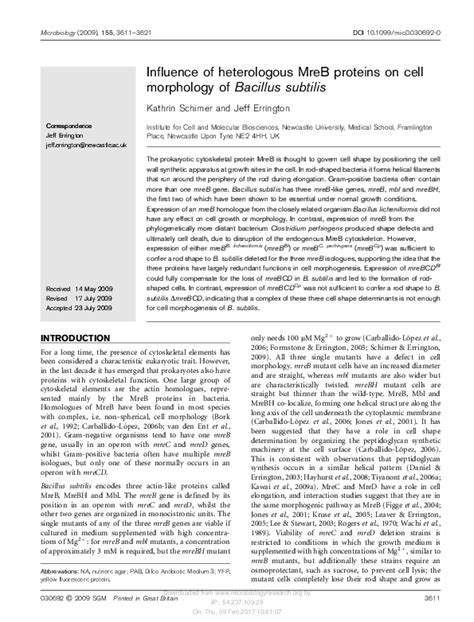 Pdf Influence Of Heterologous Mreb Proteins On Cell Morphology Of