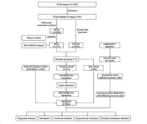 Analysis And Design Flow Chart Crc Colorectal Cancer Degs Download Scientific Diagram