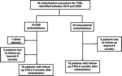 Direct Sac Puncture Versus Transarterial Embolization Of Type Ii