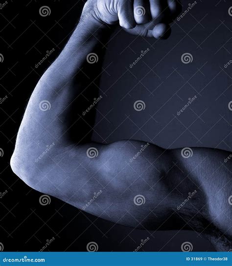 Arm 1 Stock Image Image Of Stomach Erotic Attractive 31869