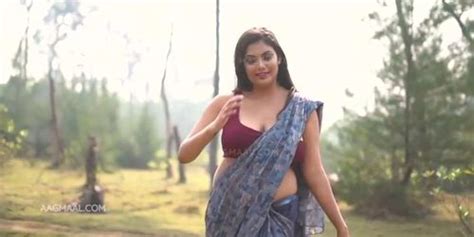 Saree Model
