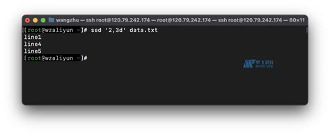 Linux三剑客 梦飞idc云平台