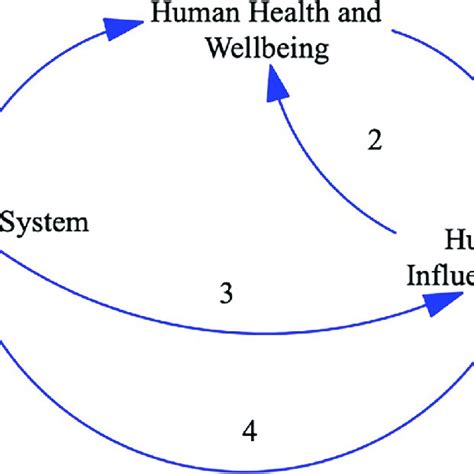 Causal Loop Diagram Showing Common Dynamics Across The Four Settings Download Scientific