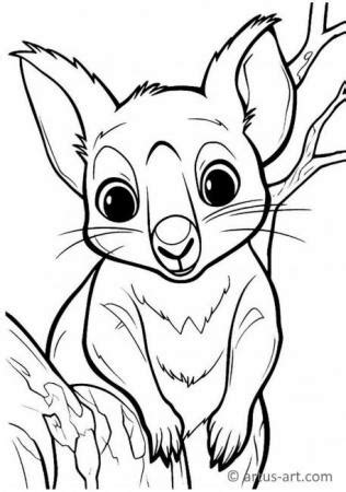 Tree Kangaroo Coloring Page Free Download Artus Art