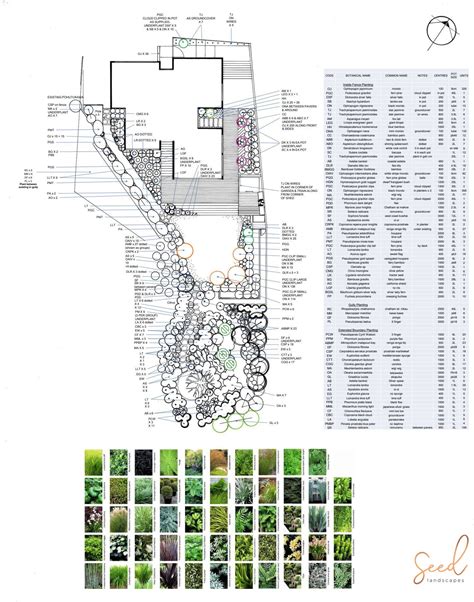 Landscape Planting Diagram Example Complete Landscape Design Package