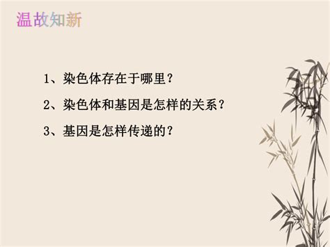 生物 人教版八年级生物 下册 第七单元 23 基因的显性和隐性 课件共49张ppt 课件下载预览 二一课件通