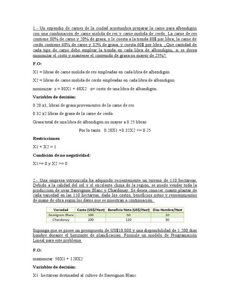 Planteamientos A Ejercicios De Programacion Lineal Pdf Carne