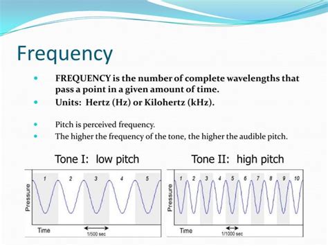 Echolocation And Bioacoustics In Orcinus Orca
