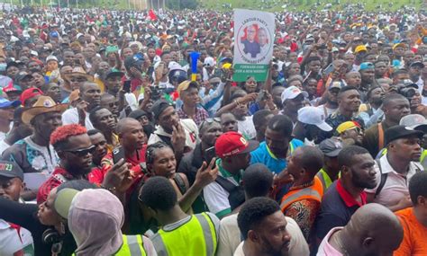 2023 Why Apc Shouldnt Underestimate Obidients Adamu Garba