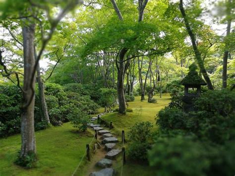 2022大河内山庄游玩攻略 竹林旁边有个大河内山庄因 去哪儿攻略