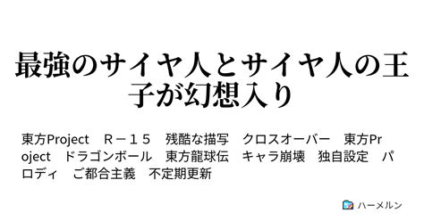 最強のサイヤ人とサイヤ人の王子が幻想入り ハーメルン