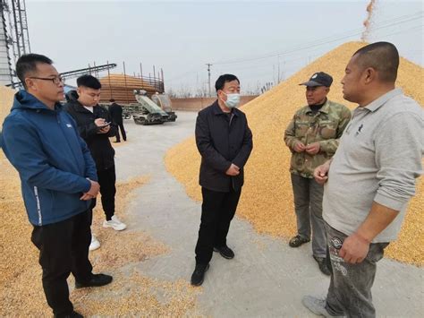 谭秀权深入松原市长岭县部分乡镇调研秋粮收储等当前重点工作 澎湃号政务 澎湃新闻 The Paper