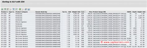 How To Set Sort Order In ABAP ALV With IDA On HANA