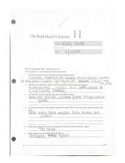 The Reproductive Systemslab 11 Pdf Course Hero