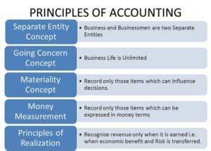 Business Entity Concept Definition Explanation Examples