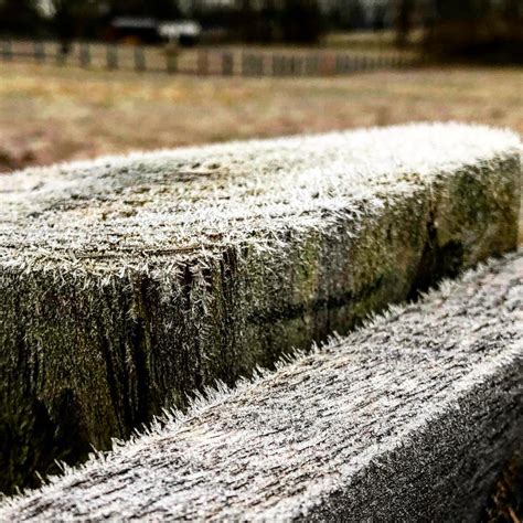 Jaclyn Fox Photography Llc Took Advantage Of The Frost This Morning
