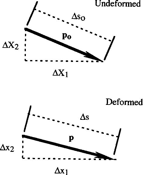 Figure 5 From An Elastic Network Model Based On The Structure Of The