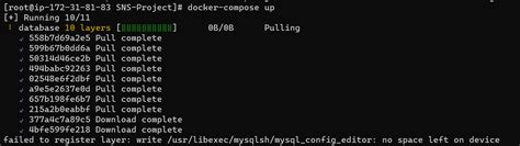 Aws Ec2 No Space Left On Device