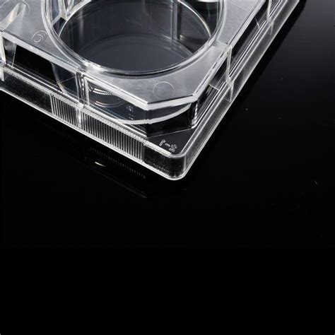 6 Well Tissue Culture Plate Disposable Tc Plastic Treated Lab