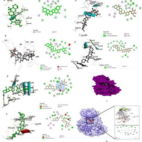 2d And 3d Representation Of Predicted Binding Mode For Compounds A