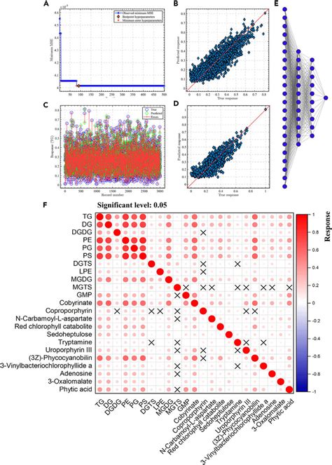 The Construction Of Metabolic Model At Single Cell Level A Download Scientific Diagram